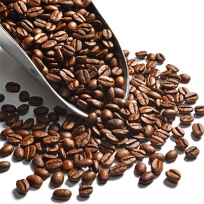 Swiss Chocolate Coffee beans – Tamborine Tea